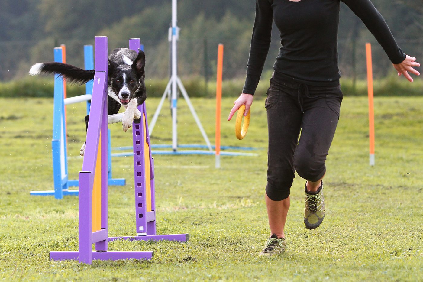 Lolabuland » Agility safety